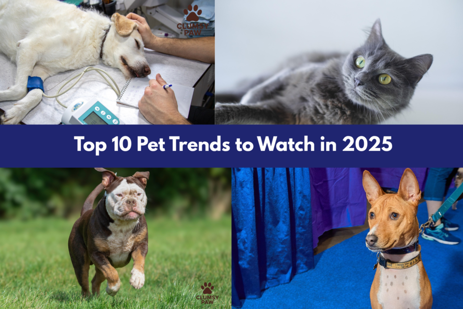 Top 10 Pet Trends to Watch in 2025 - Clumsy Paw | For Pet Lovers and ...