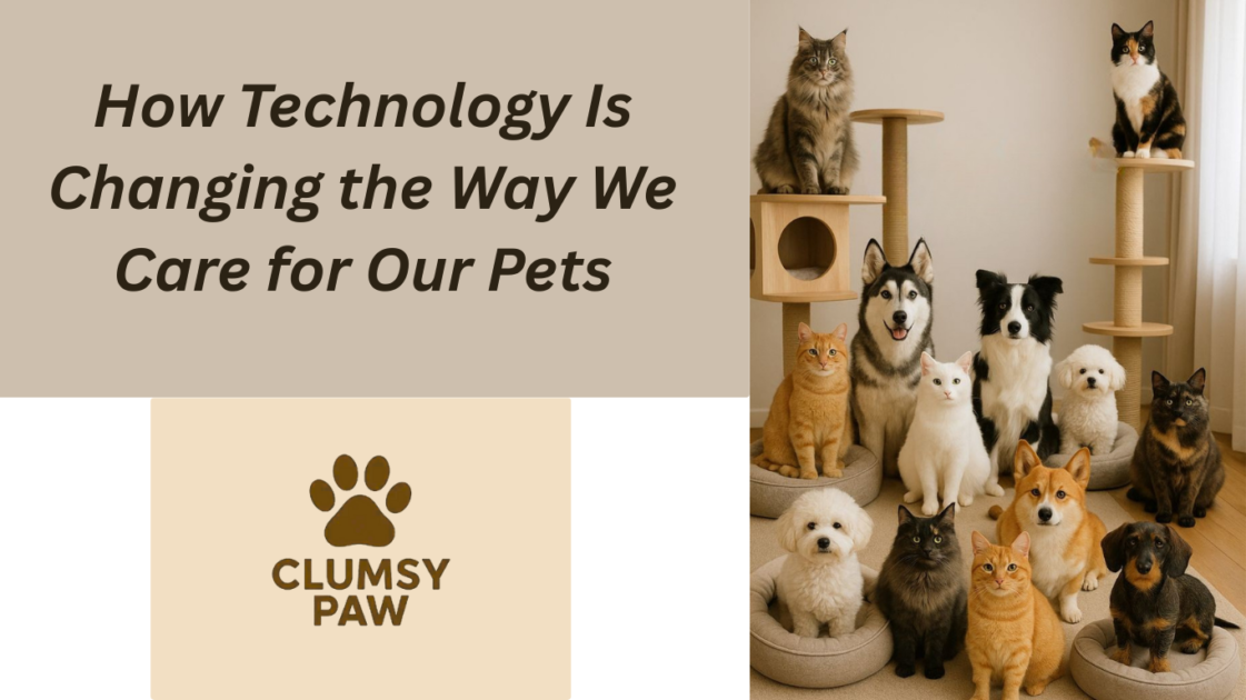 How Technology Is Changing the Way We Care for Our Pets - Clumsy Paw ...